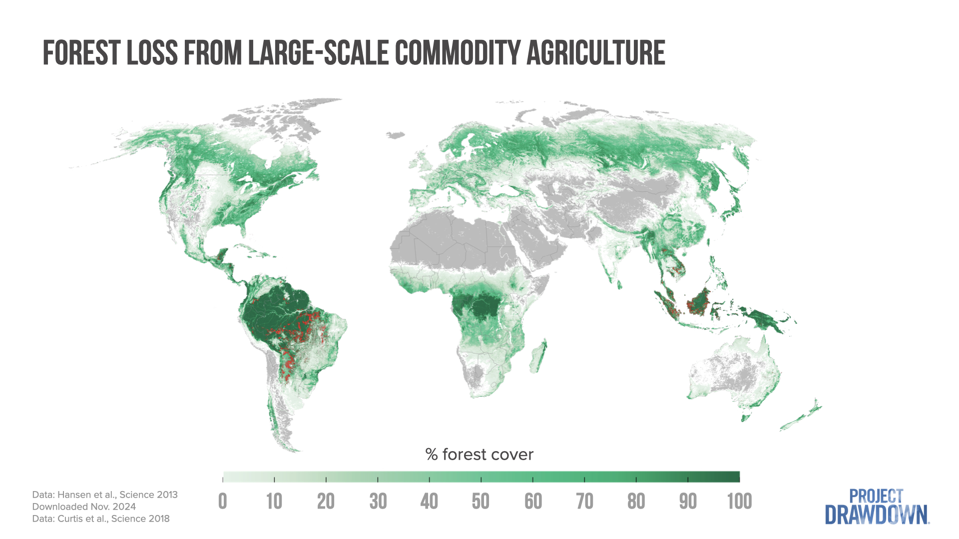 Stopping Deforestation is an Emergency Brake Solution - Vote Earth Now